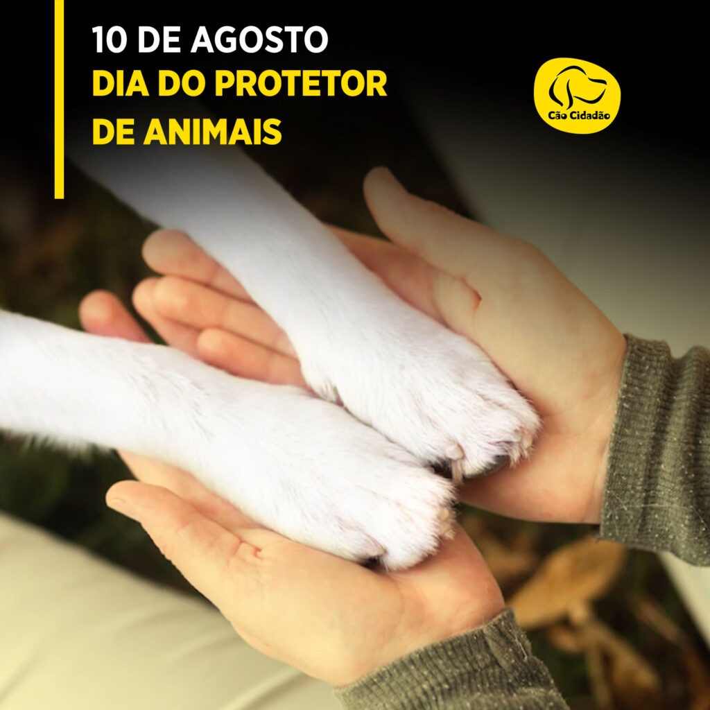 10 de agosto – Dia do Protetor de Animais – Cão Cidadão