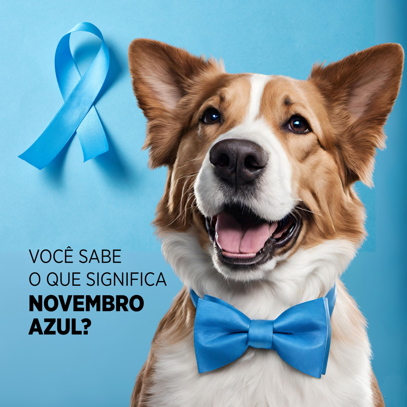 Você sabe o que significa Novembro azul? – Cão Cidadão