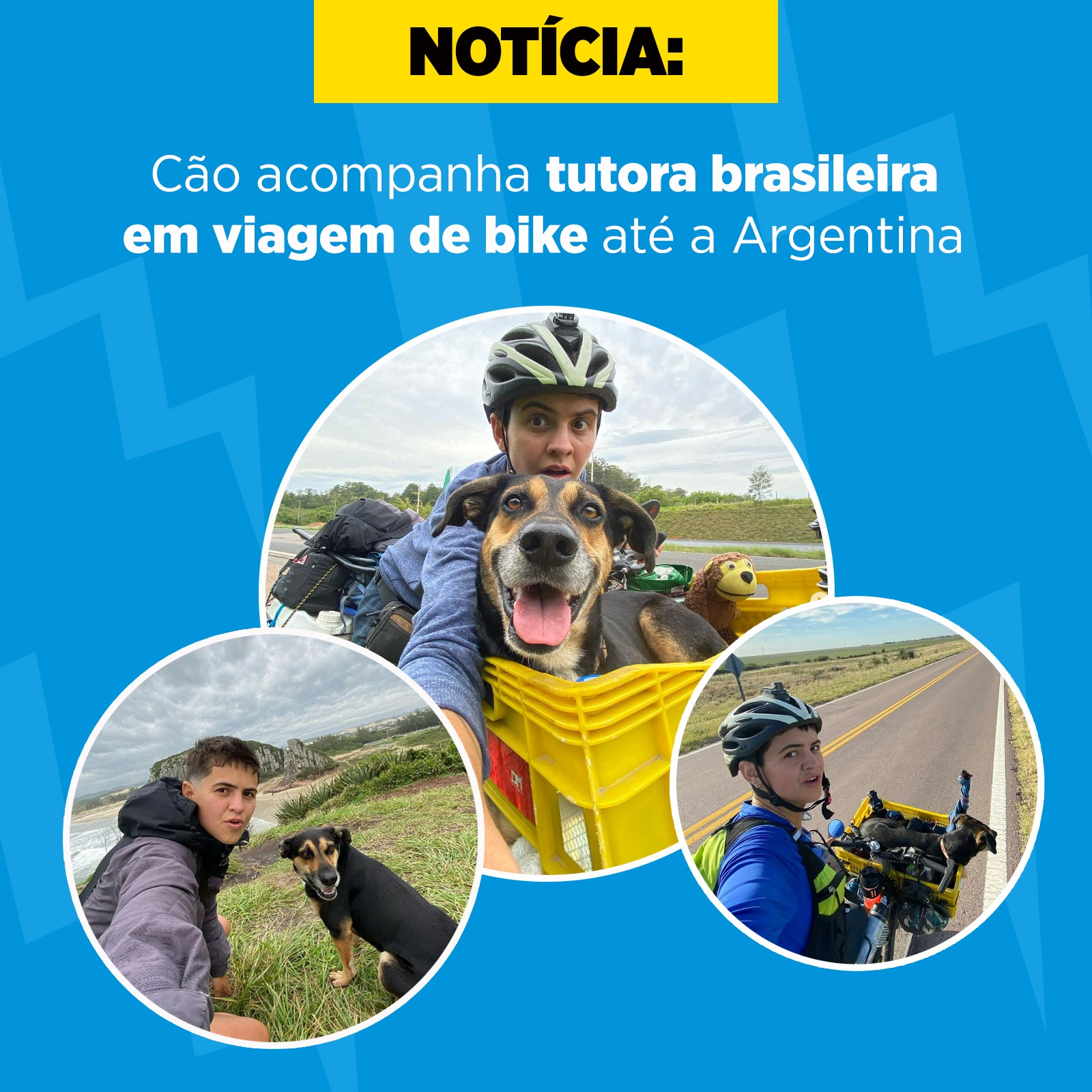 Cão acompanha tutora brasileira em viagem de bike até a Argentina - Cão ...